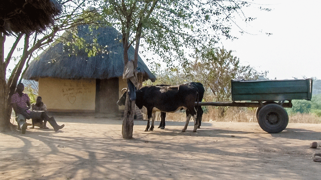 Informer Network System in Anti-Poaching Operations | Patrol