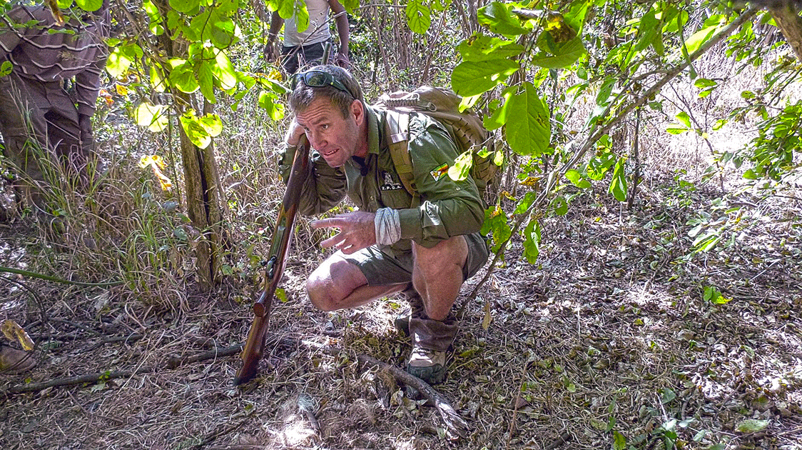 Guides Against Poaching: Protecting Wildlife in Zimbabwe