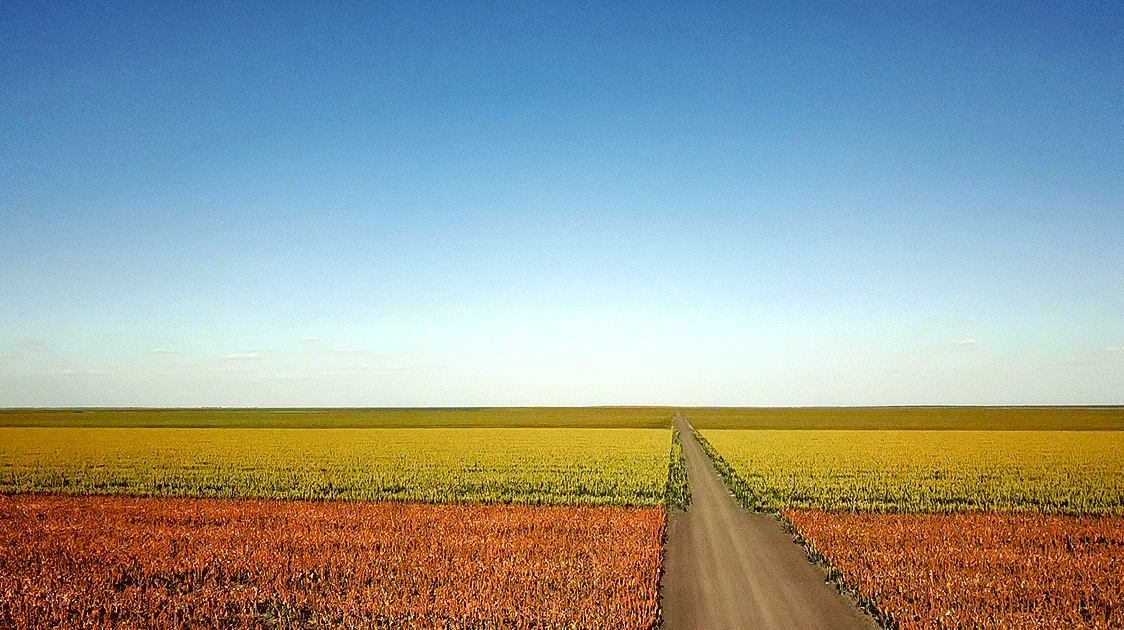 Botswana’s Pandamatenga: Fence, Food Security & Wildlife