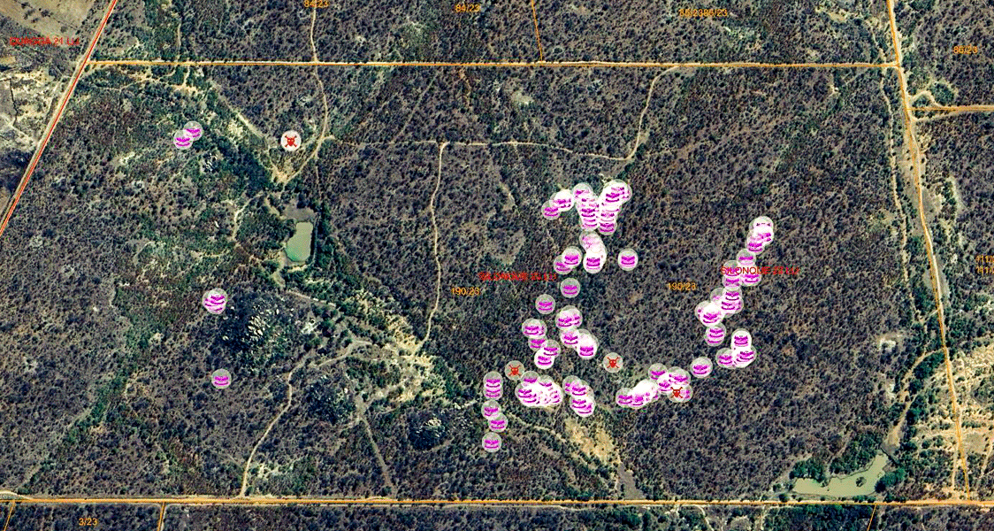 Snare Busters - Snare Sweep Report