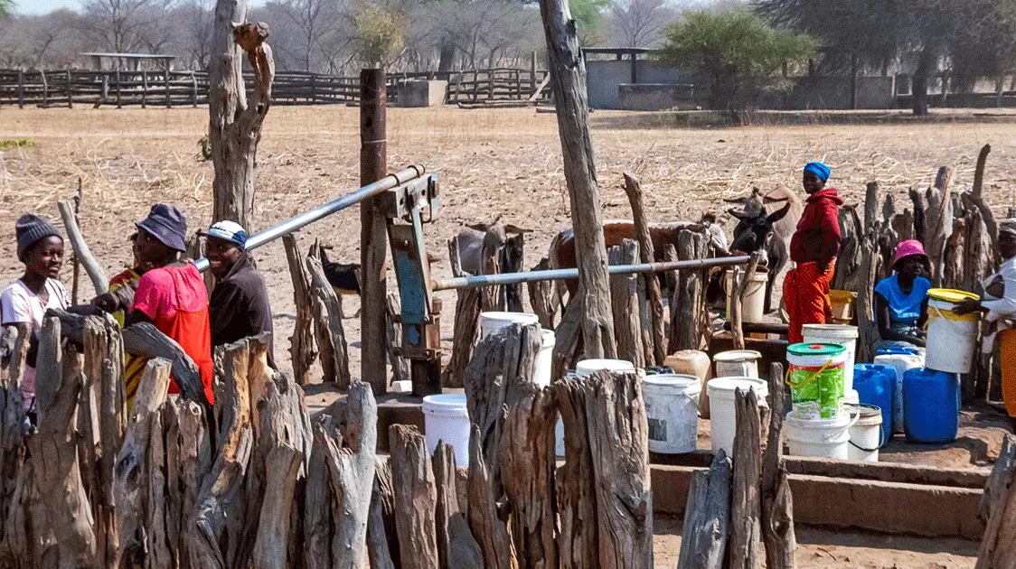 Anti-Poaching Operations: Anti Poaching Ranger Insights | Patrol