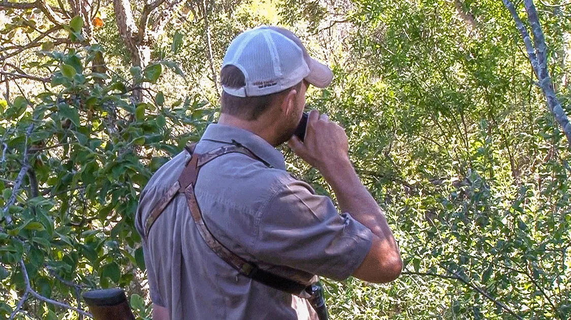 Anti-Poaching Operations: Anti Poaching Ranger Insights | Patrol