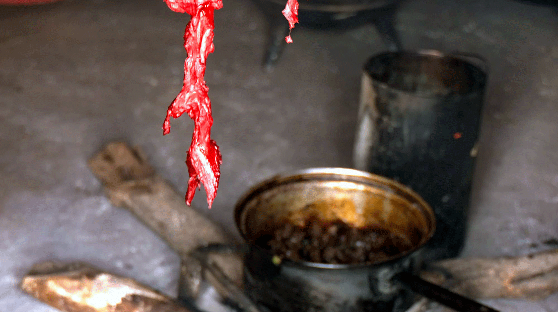 The Challenges of Prosecuting Snare Poachers in South Africa